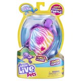 Little Live Pets Lil' Turtle Sea Heart, Interactive Turtle Toy with ...
