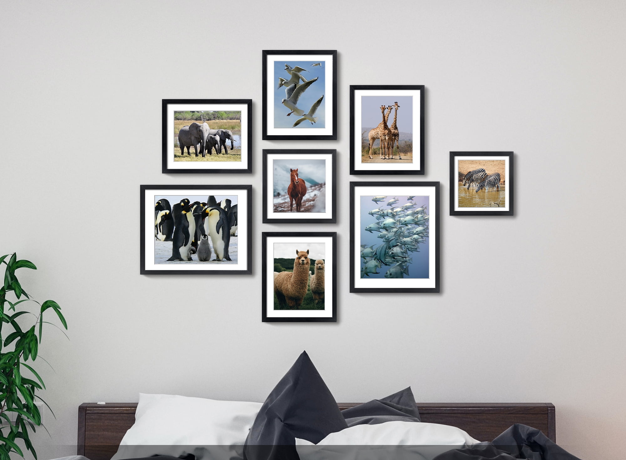 Photo Frames Design On Wall