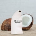 Nevlers Ceramic Salt Inhaler with Pure Himalayan Pink Salt | Asthma and ...