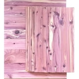Cherokee Wood Products - 48pcs Cedar Plywood (1/8" x 12" x 24") for ...