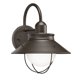 Aztec Lighting Transitional 1-light Olde Bronze Outdoor Wall Lantern ...
