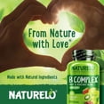 NATURELO Vitamin B Complex with Methyl B12, Folate, B6, Biotin, Choline ...