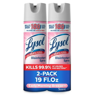 Lysol Professional Disinfectant Spray, Original Scent, 19 oz Aerosol ...