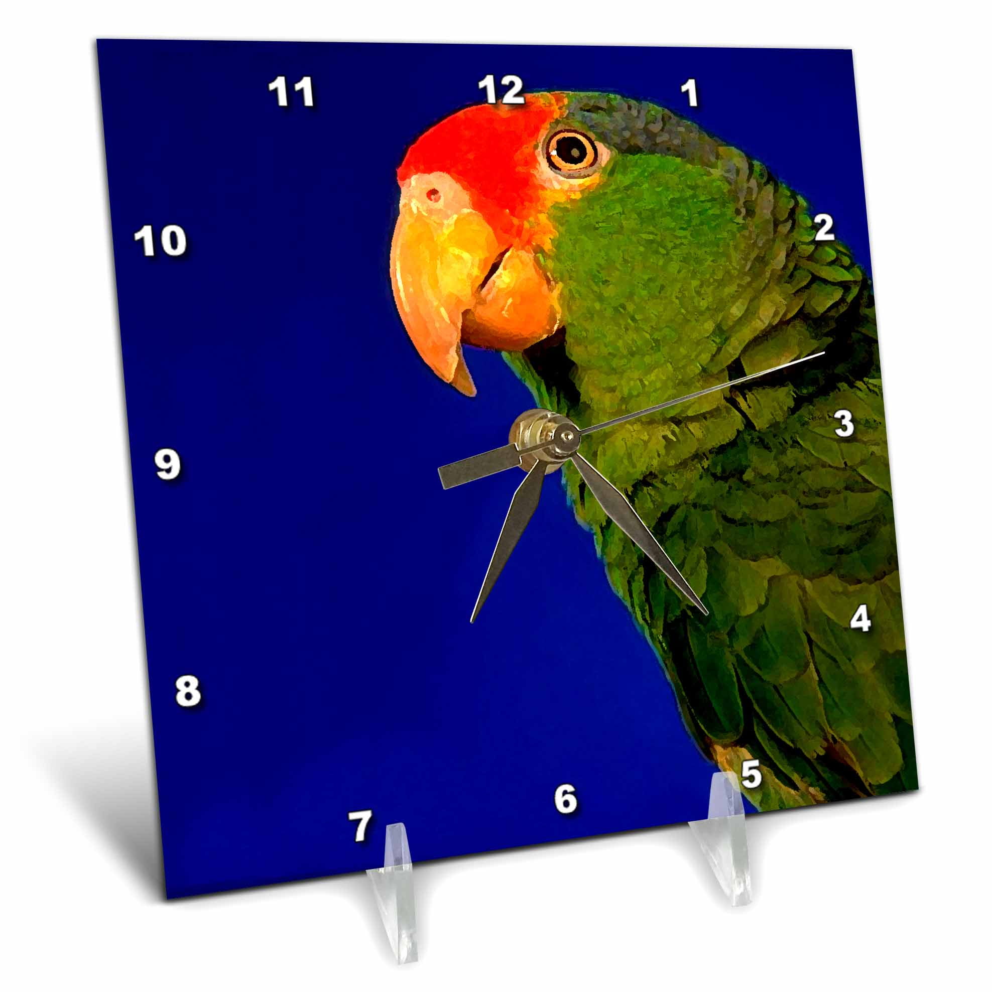 Green Cheeked Amazon Parrot 6x6 Desk Clock dc-681-1 - Walmart.com