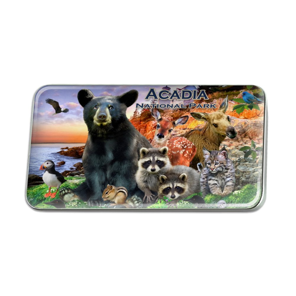 Acadia National Park Maine ME Animals Bear Racoon Deer Moose Metal ...