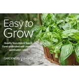 Gardeners Basics, Italian Herb Seeds, 5 Variety Pack - Walmart.com