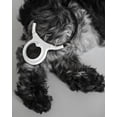 Assisi LOOP 2.0 Manual tPEMF Device for Dogs, Cats, and Horses ...