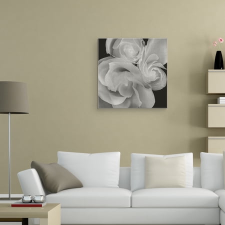 Masterpiece Art Gallery Carnation Floral 19 by Michael Faragher Canvas ...