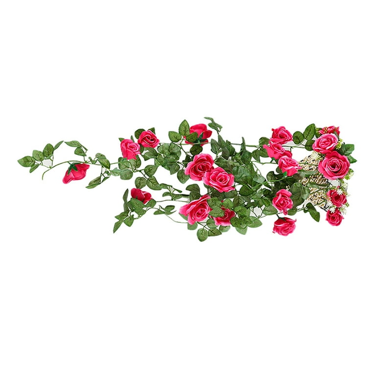 Corner Rose Vine Border