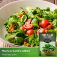 5 Packs Corn Salad Verte De Cambrai Seeds - Lamb's Lettuce Mache - Non ...