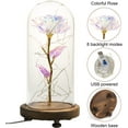 Enchanted Rose in Glass Dome - Galaxy Rose with Led Light String ...