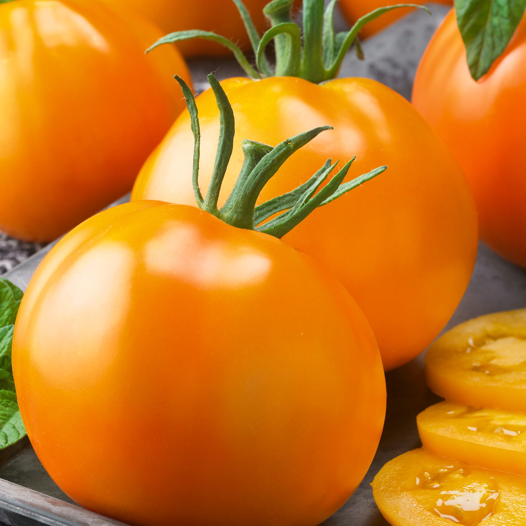 Golden Jubilee Tomato