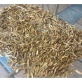 40 Loroco Vegetable Seeds White Flowers Loroco Vine Seeds Fernaldia ...