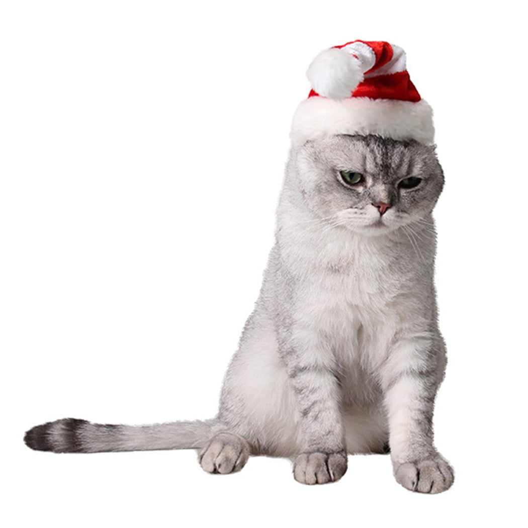 Click here for Bangcool Pet Santa Hat Stripe Decorative Cat Costu... prices