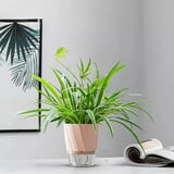 Foqnuq Self Watering Pothos Planter Stackable Plastic Planter ...