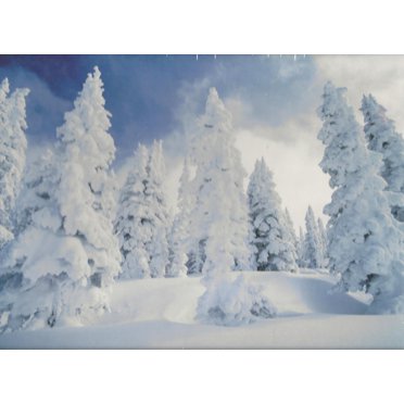 Puzzle Pod Cryptex - Brain Teaser & Coin Bank, Unique Indoor Adventure ...