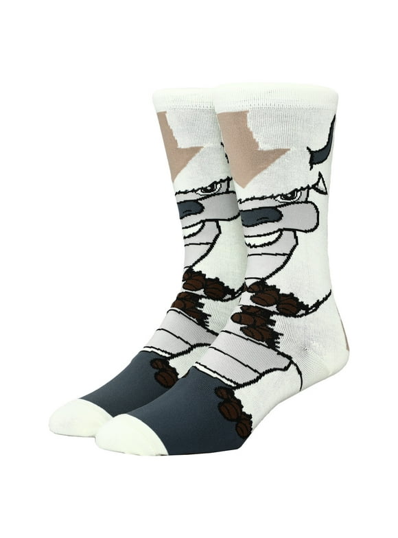 Avatar Last Airbender Socks
