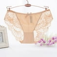 ameIAEA Womens Lace Underwear Hollow Out Full Coverage See Through Panties Breathable Ladies ...
