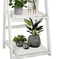 Fionafurn Foldable Wooden 4-Tier Ladder Shelf, Sturdy Shelving Unit for ...