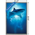 Shark - Depths Wall Poster, 22.375" x 34", Framed - Walmart.com