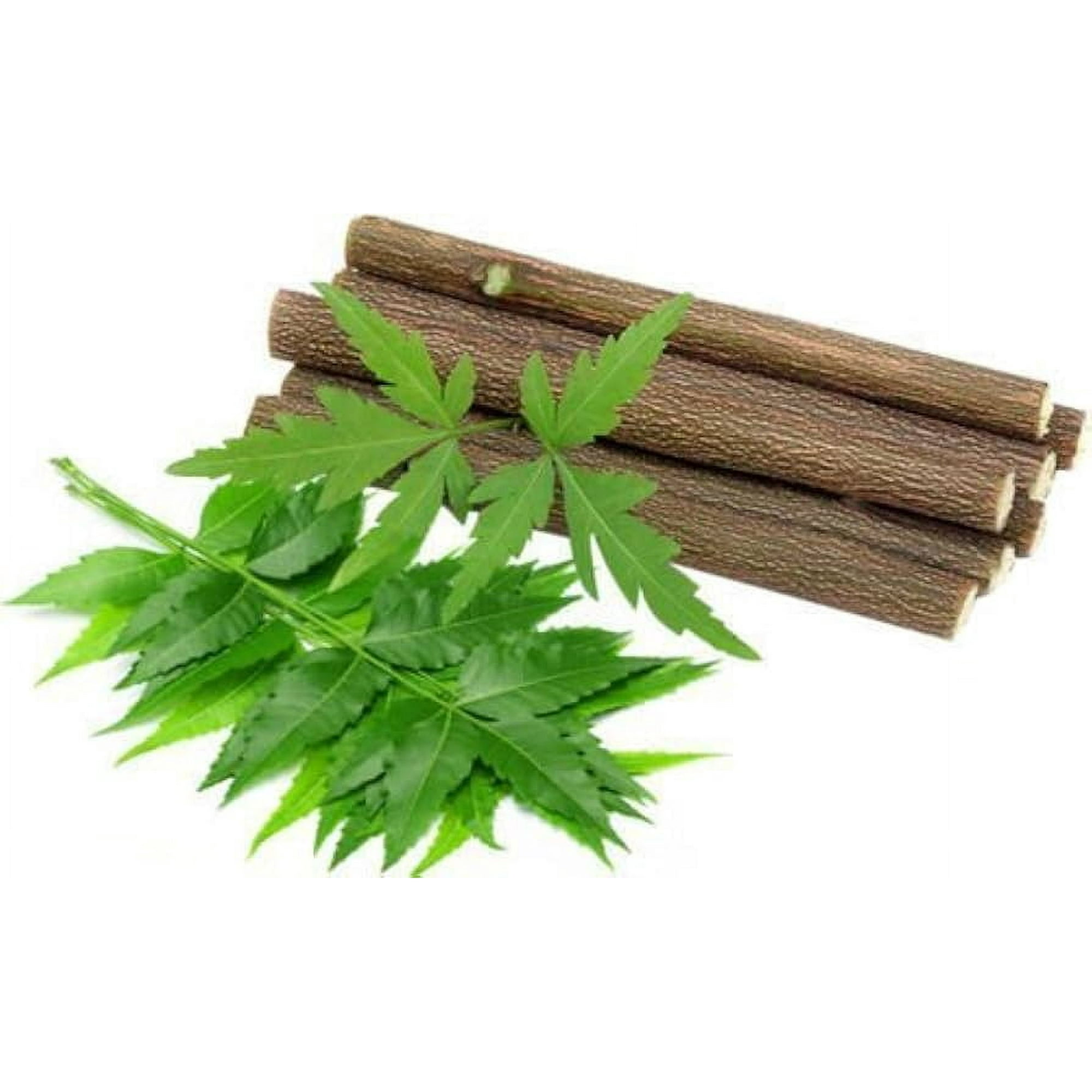 Click here for Chewing Sticks Of Neem Datun Oral Herbal Teeth Ton... prices