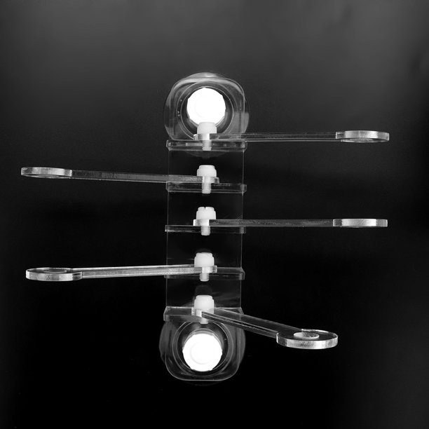 Support à Ventouses Non Corail, Porte-étagères En Corail Pour Poissons ...