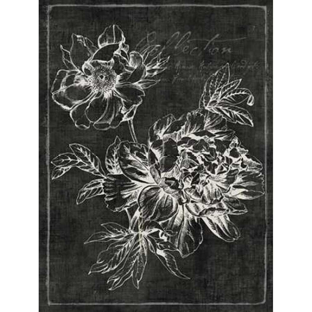 Black Botanical I Poster Print by PI Galerie (9 x 12) - Walmart.com ...