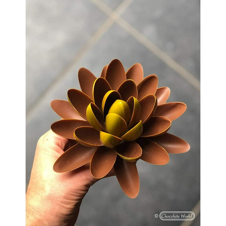 Chocolate Showpiece Molds Silicone
