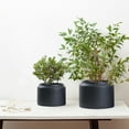 Porto Plant Pots - Matt Black Ceramic Jar Design Plant Pots Indoor ...