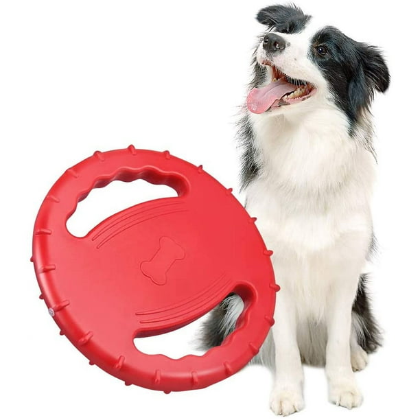 Frisbee y discos para lanzar - Juguete interactivo para perros medianos y grandes - Juguete para ...