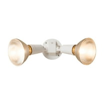 Cooper Lighting 2-Light Outdoor Spotlight - Walmart.com