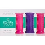 Calista Tools Ion Hot Hair Rollers Short Style Set 12 Base - Walmart.com