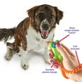 Brightkins Smarty Pooch Bone Training Clicker with Wrist Strap, Dog Toy ...