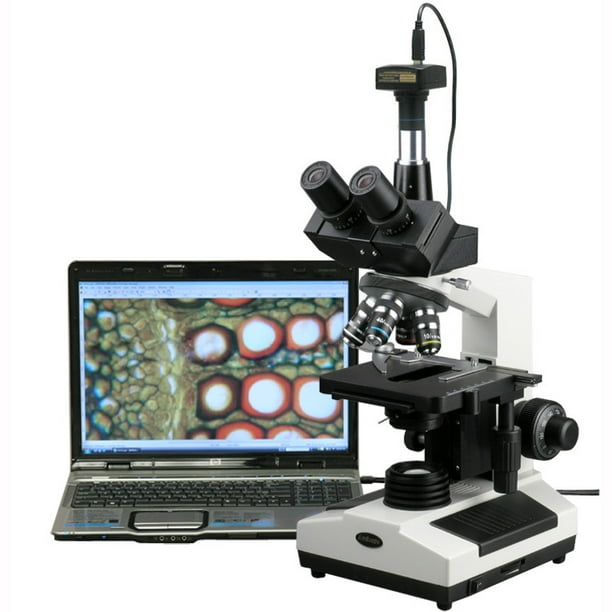 AmScope 40X-2000X Doctor Veterinary Clinic Biological Microscope + 10MP ...