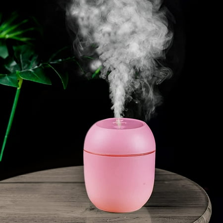 Mini Humidifier, 250ml Small Egg Shape Humidifier for Plants, Personal ...
