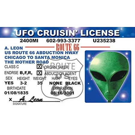 Signs 4 Fun NIID66 66 Alien Cruisins Drivers License | Walmart Canada