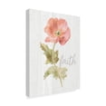 Trademark Fine Art 'Garden Poppy on Wood Faith' Canvas Art by Danhui ...