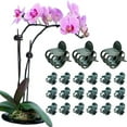 50 PCS Plant Clips 2025 Upgrade Orchid Clips for Plant Support. Gentle ...
