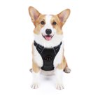 PetSafe 3 in 1 Harness, Fully Adjustable No-Pull Dog Harness and Car ...