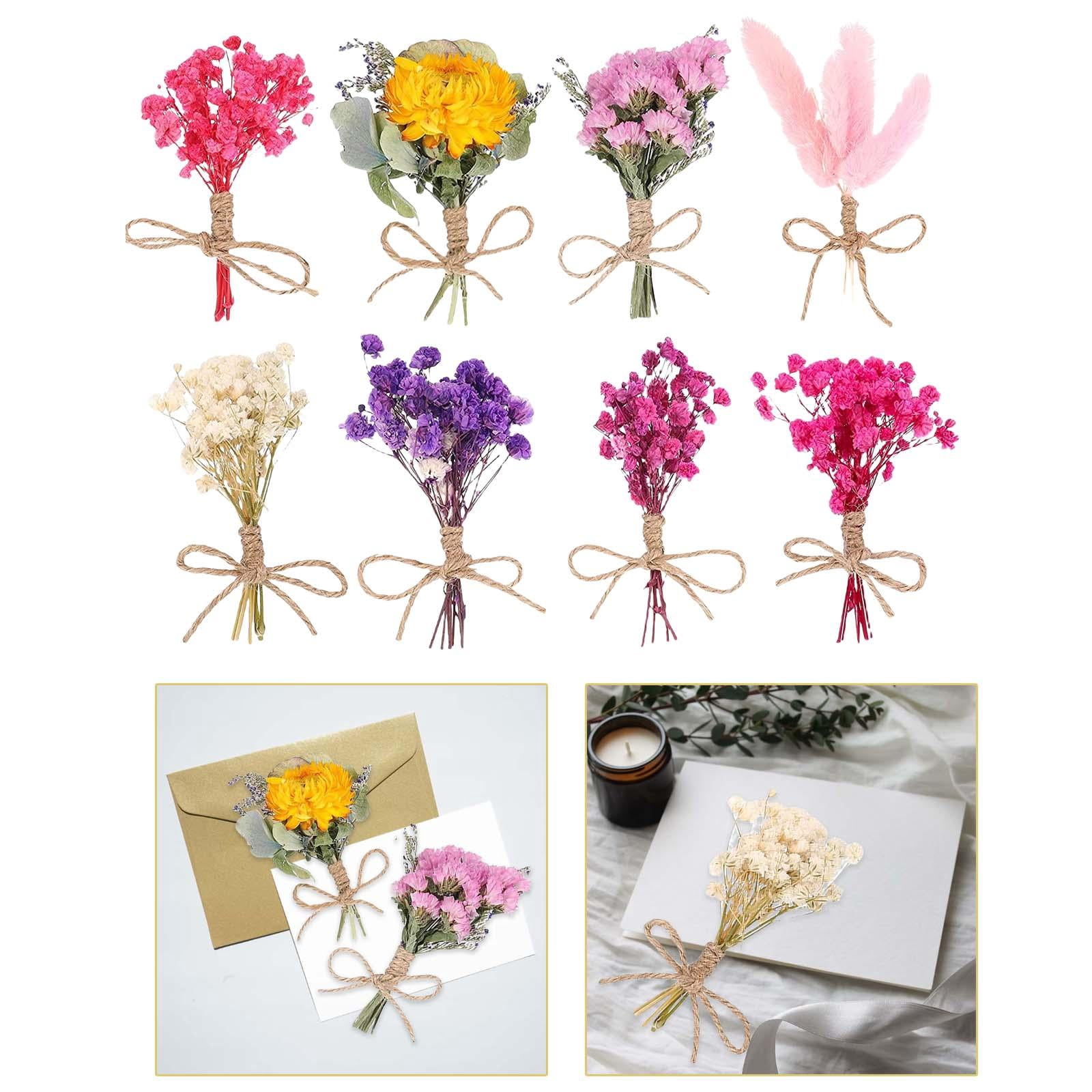 8x ramo secas reales decoraciones para decoración tallos brotes ...