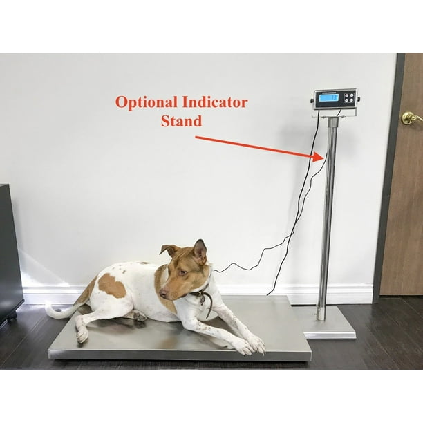 5 Year Warranty Livestock scale Hog Scale Sheep Scale Goat Scale Pig ...