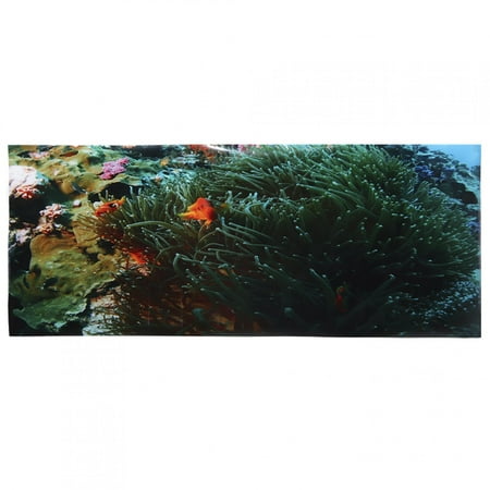 Fish Tank Poster,PVC Adhesive Coral Small Aquarium Poster Aquarium ...