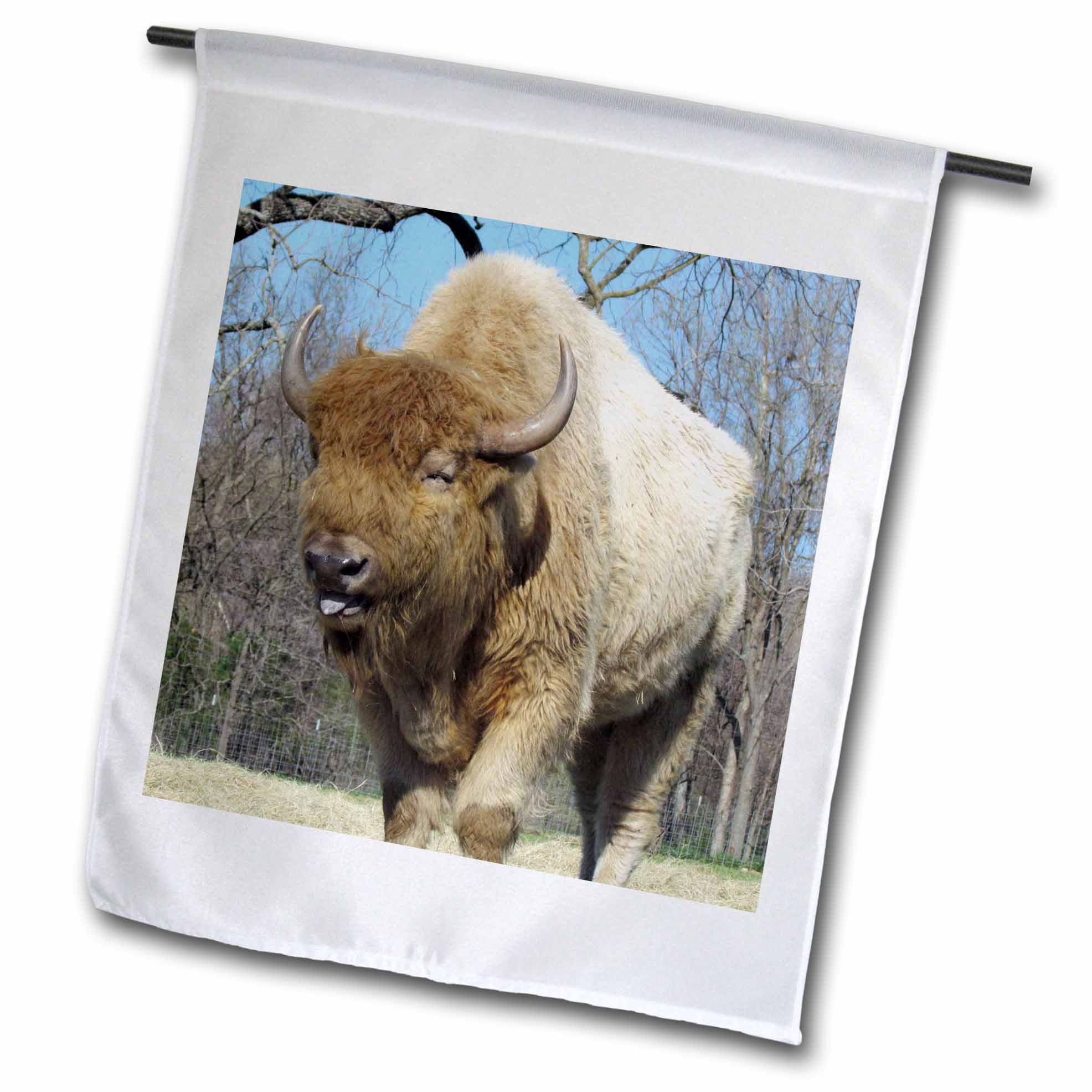 3dRose American Bison - buffalo - Garden Flag, 12 by 18-inch - Walmart.com