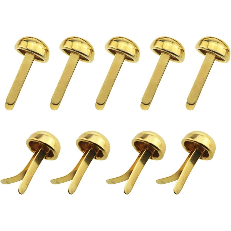 Pins For Paper | ppgbbe.intranet.biologia.ufrj.br