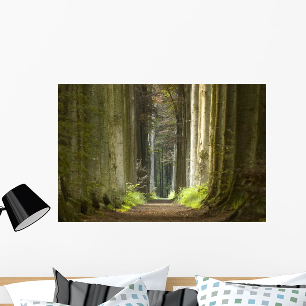 Nature Pathway Wall Mural Decal Sticker, Wallmonkeys Peel & Stick Vinyl ...