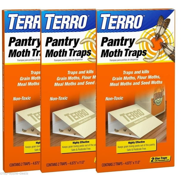 Terro 2900 Pantry Moth Trap, 2 Traps 3 Pack, 6 Traps Total - Walmart.com