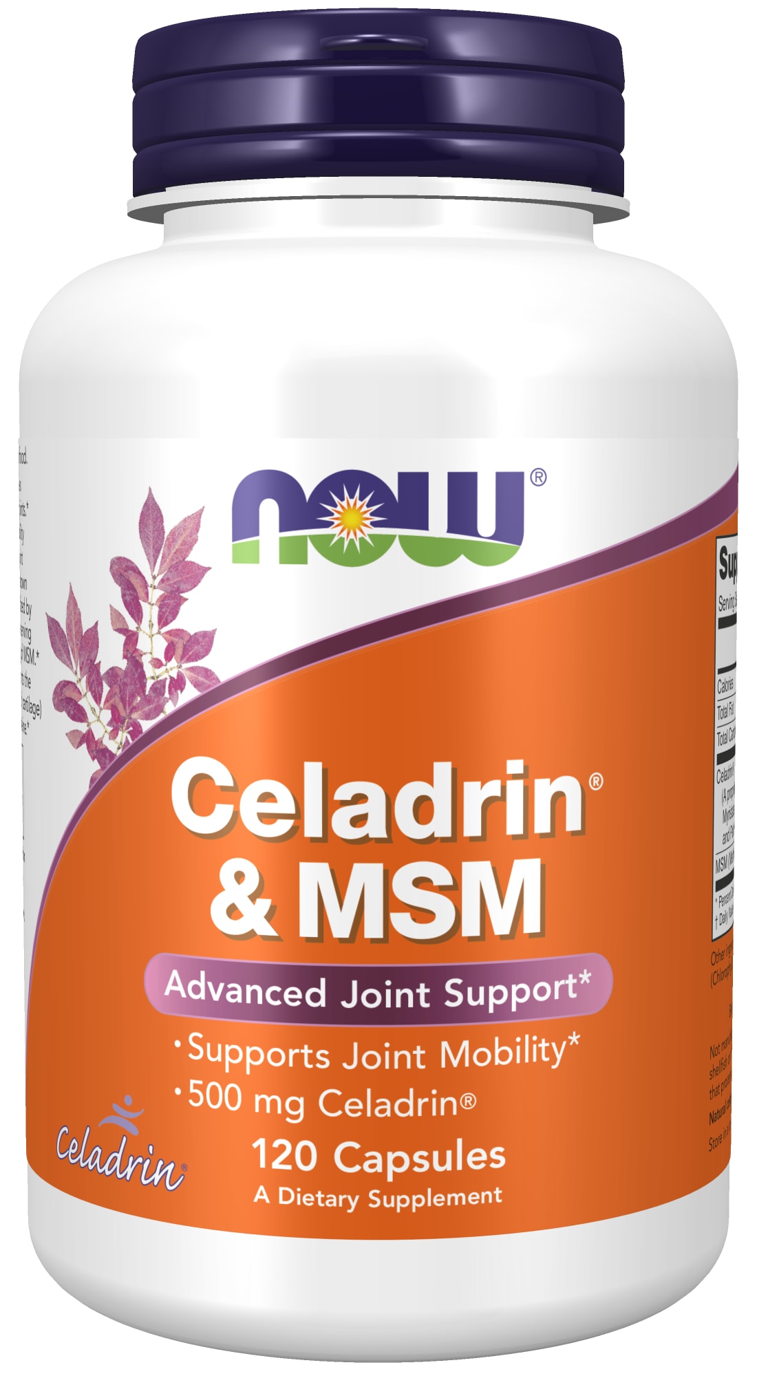 NOW Supplements, Celadrin® & MSM, 500 mg of Celadrin®, Advanced Joint ...