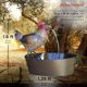 Alpine Corporation 20" Tall Metal Rooster Fountain, Multicolor ...