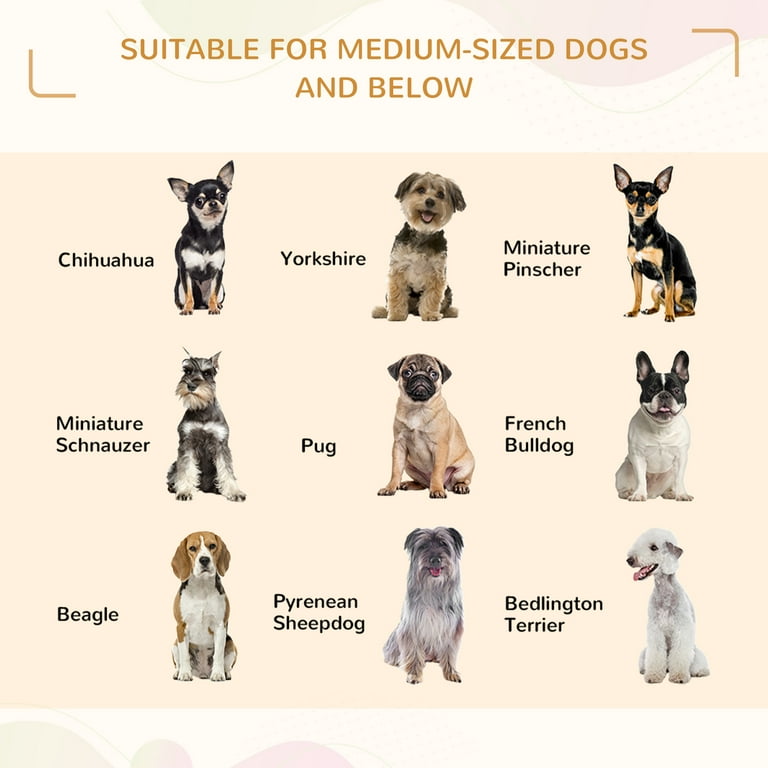 Toy Dog Breeds Chart