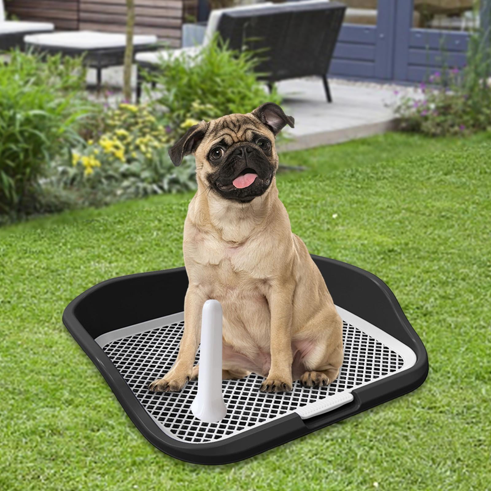 Large Dog Toilet Litter Box with Protection Wall Anti Splashing Small ...